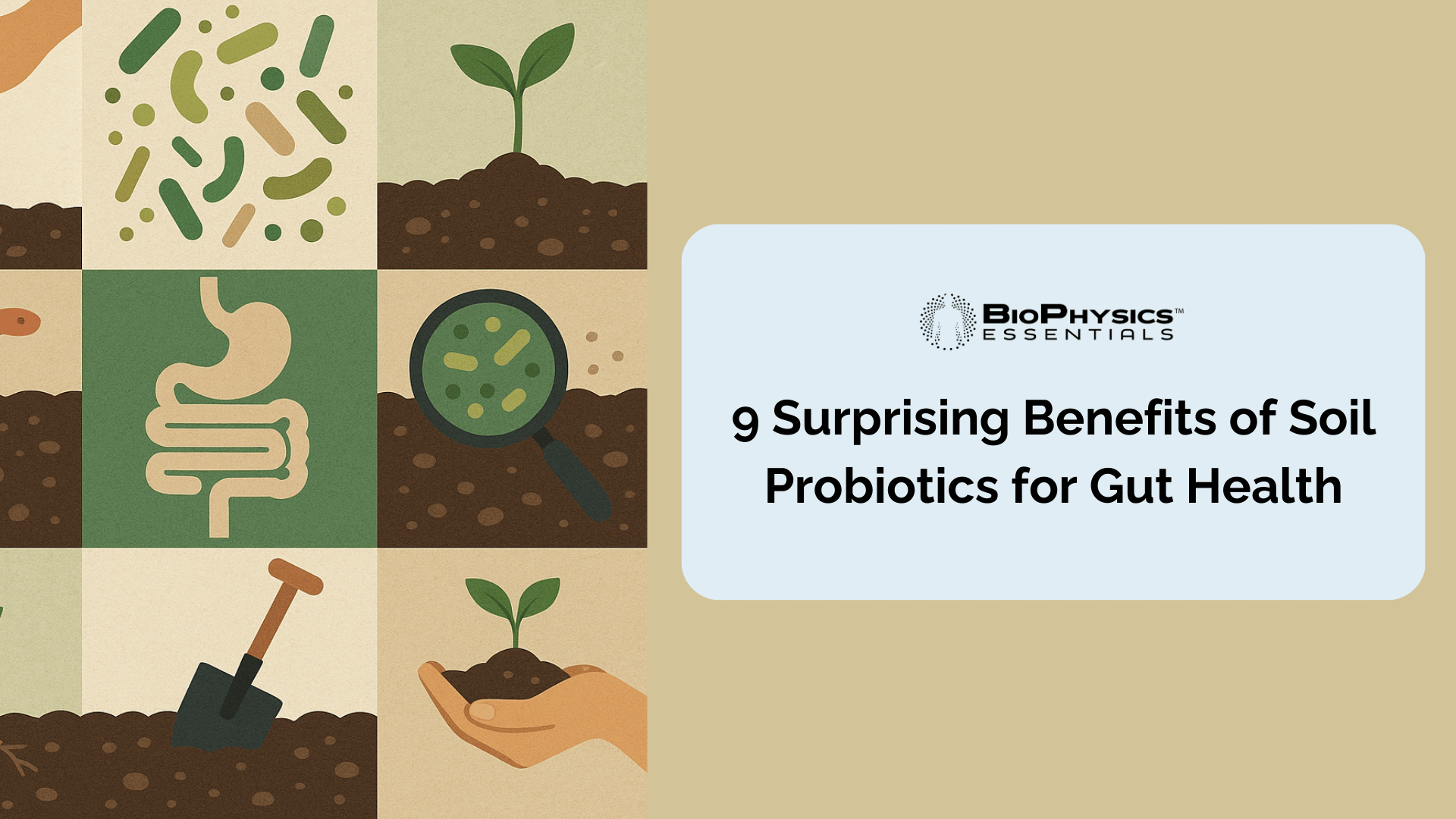 9 Surprising Benefits of Soil Probiotics for Gut Health – BioPhysics ...